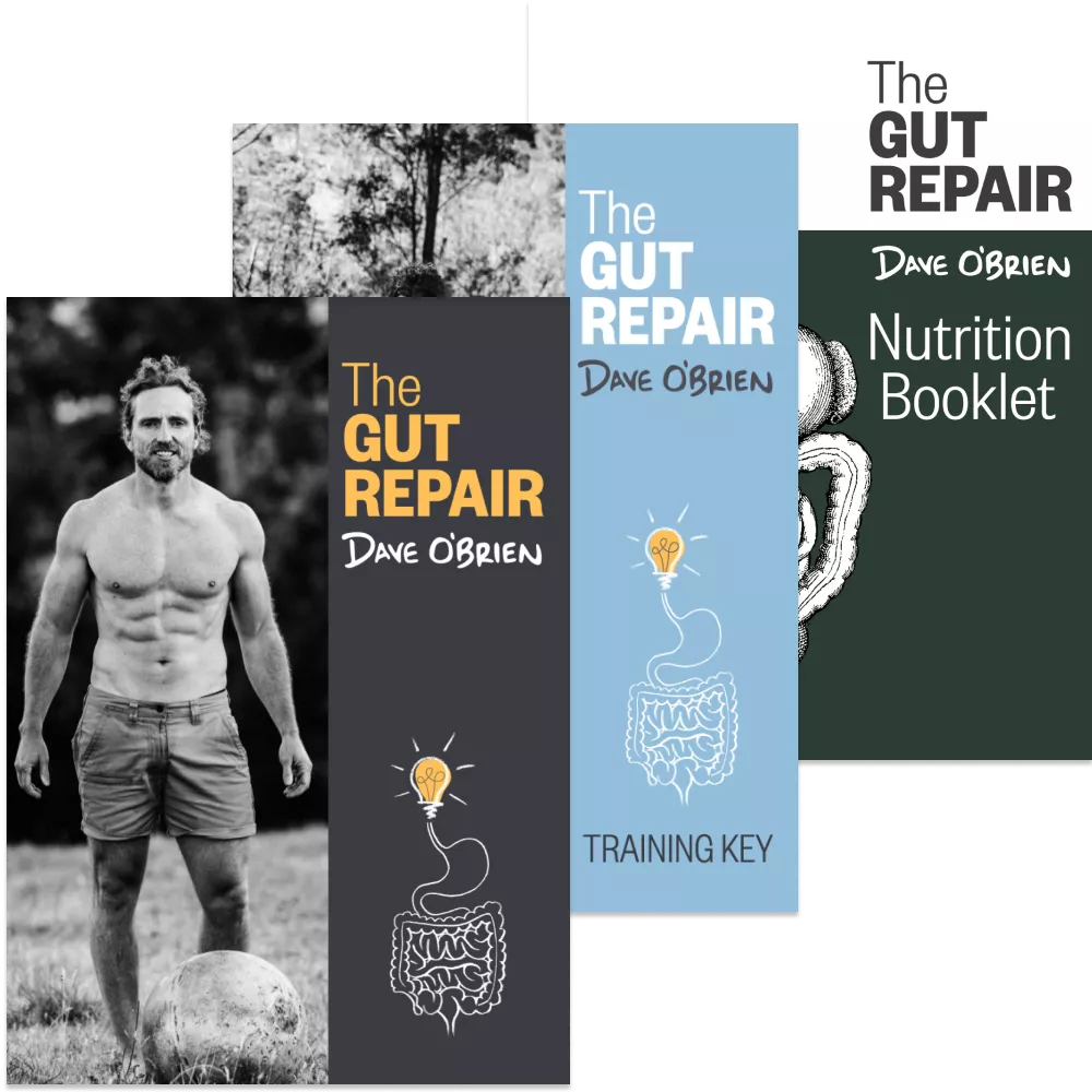 Bi-Weekly Supported Gut Repair Journey - Dave O'Brien